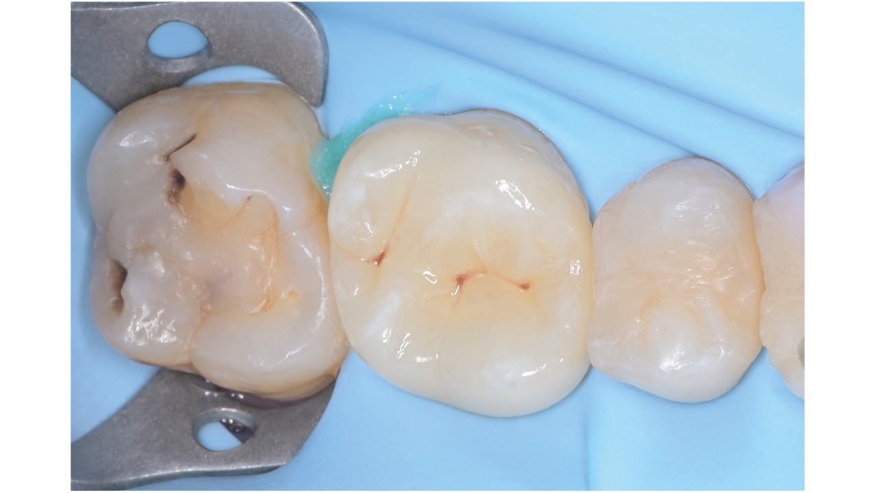 Venus Pearl – Beauty beyond aesthetics.