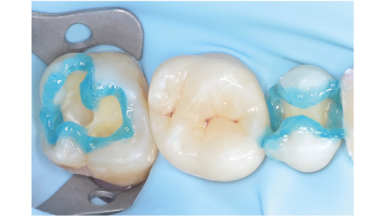 Venus Pearl – Beauty beyond aesthetics.