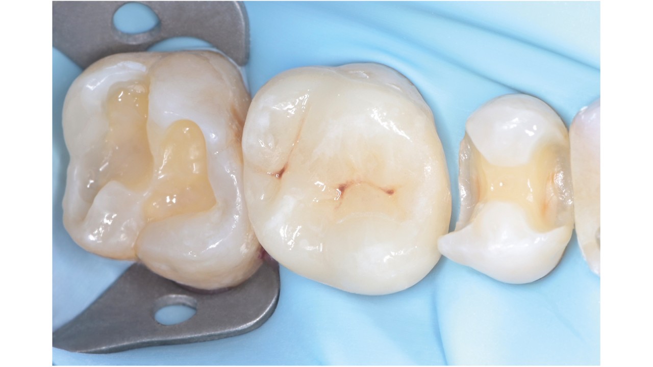 Venus Pearl – Beauty beyond aesthetics.