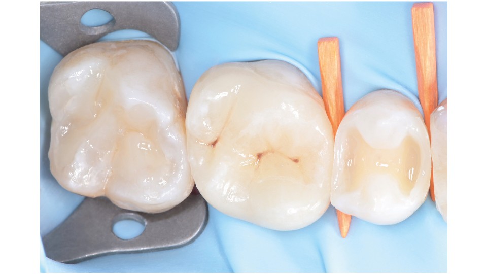 Venus Pearl – Beauty beyond aesthetics.