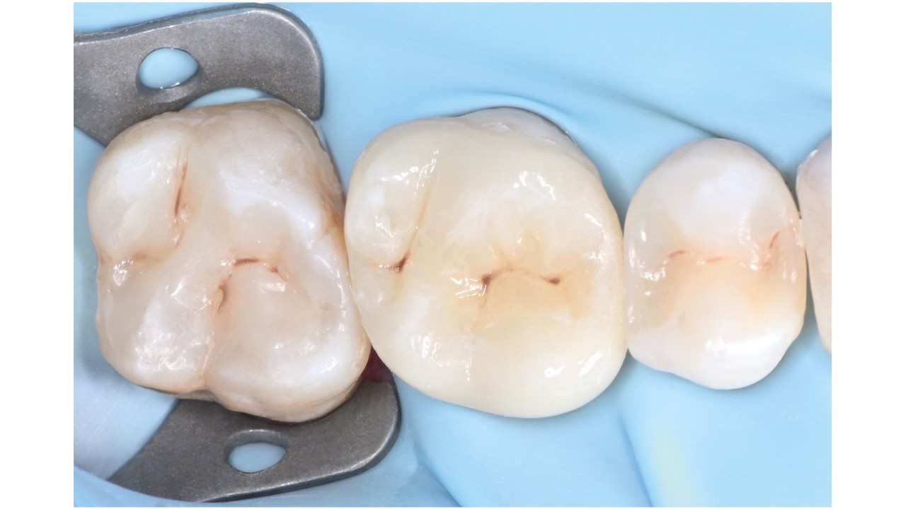 Venus Pearl – Beauty beyond aesthetics.