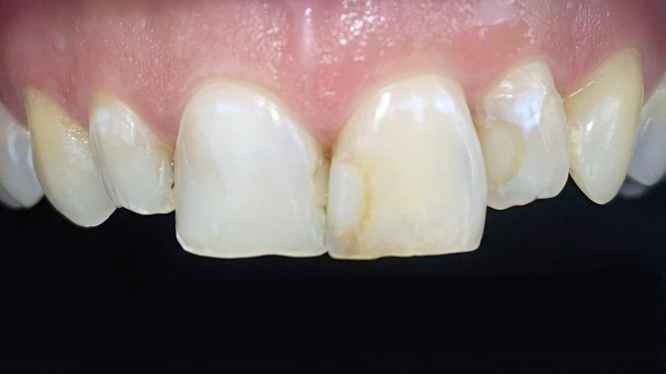 Be part of the Venus community